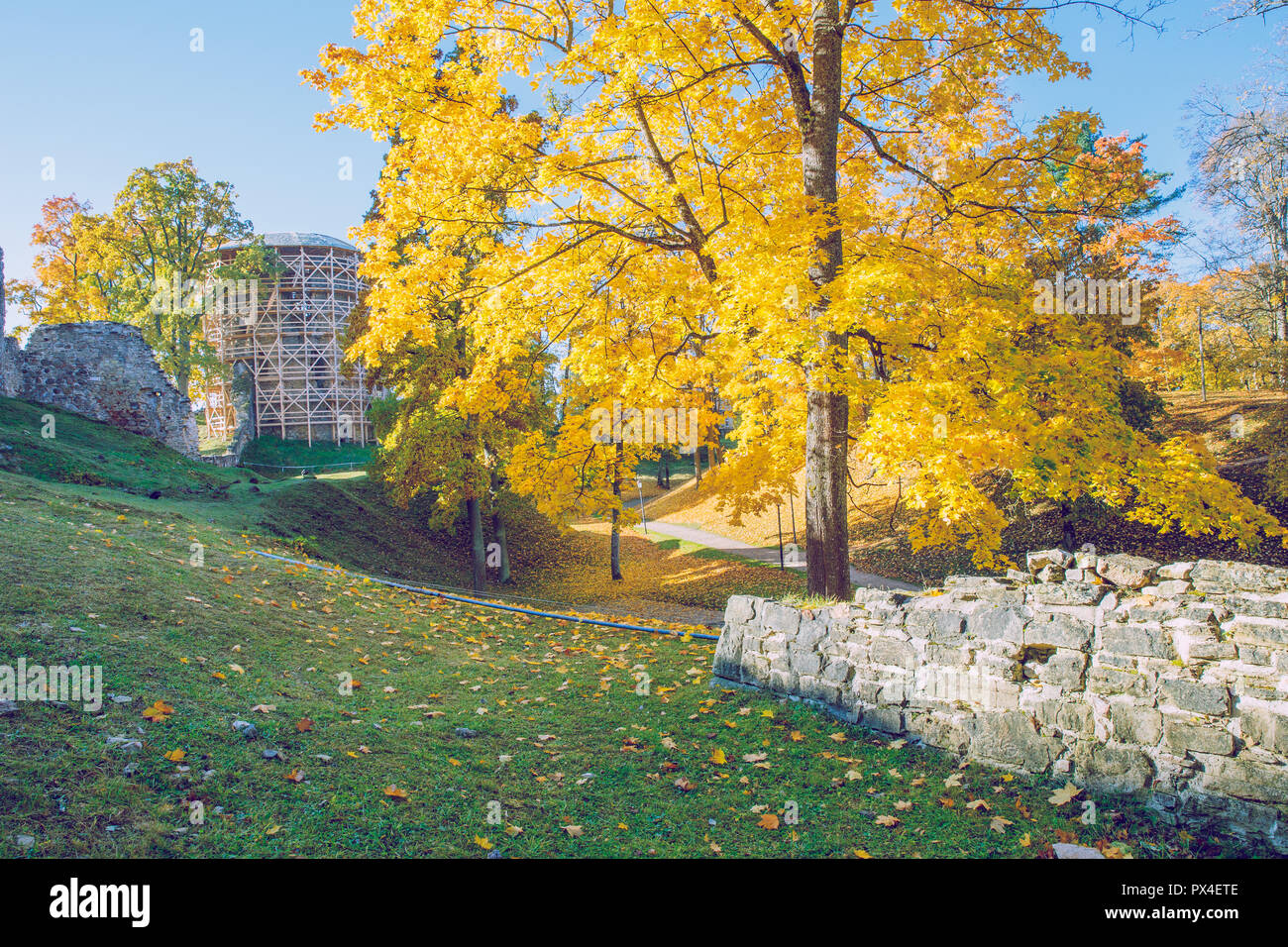 City Cesis, Latvia. Old Casttle park at autumn. Yellow leafs, ruins and ...