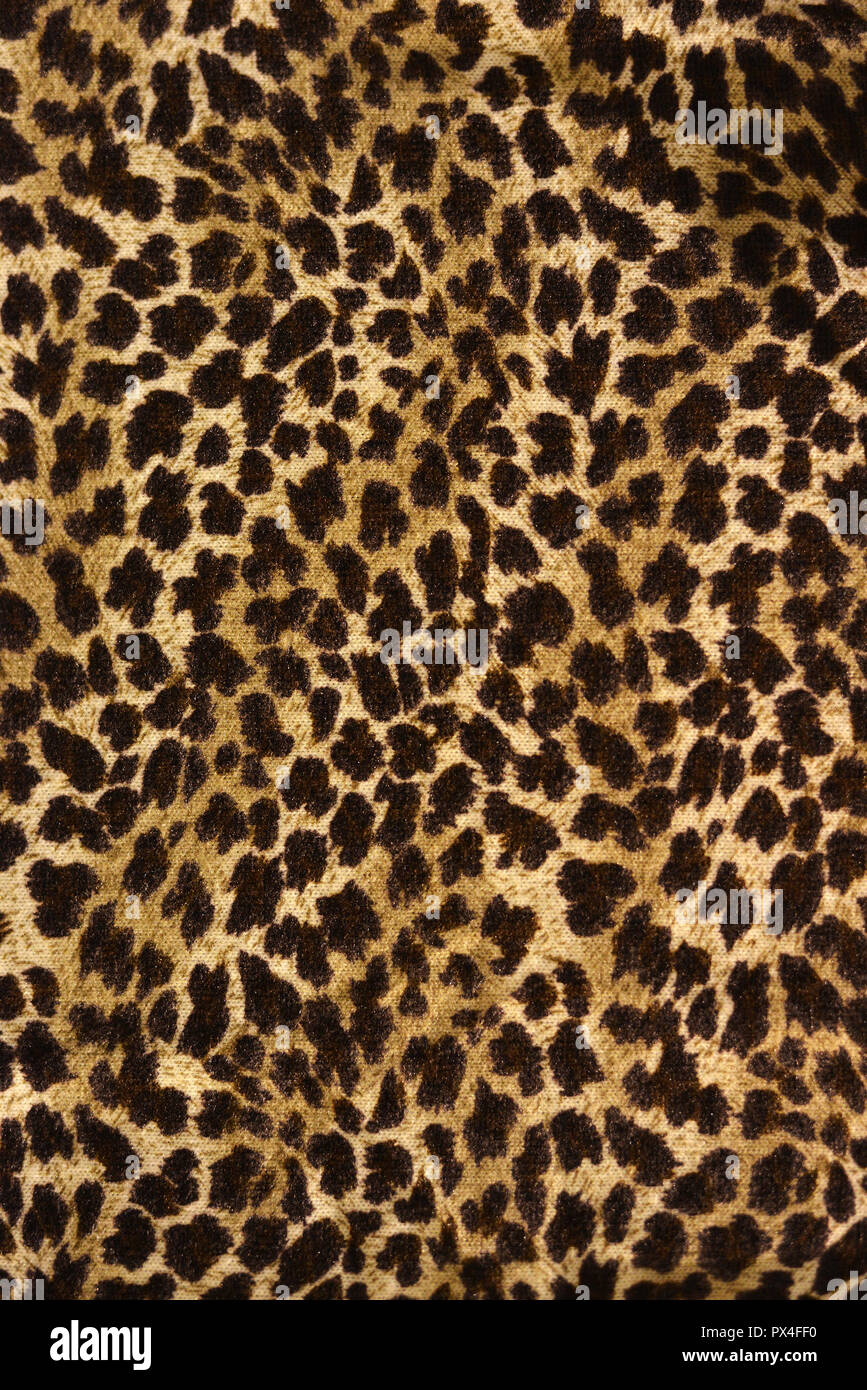 Wild animal skin pattern - material Stock Photo - Alamy