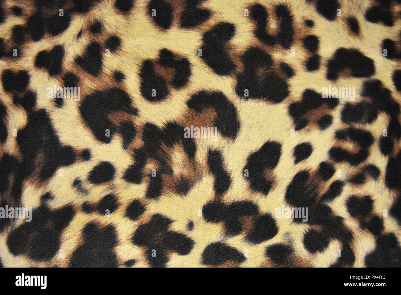 Wild animal skin pattern - material Stock Photo - Alamy