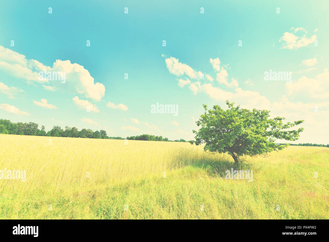 Vintage rural landscape hi-res stock photography and images - Alamy