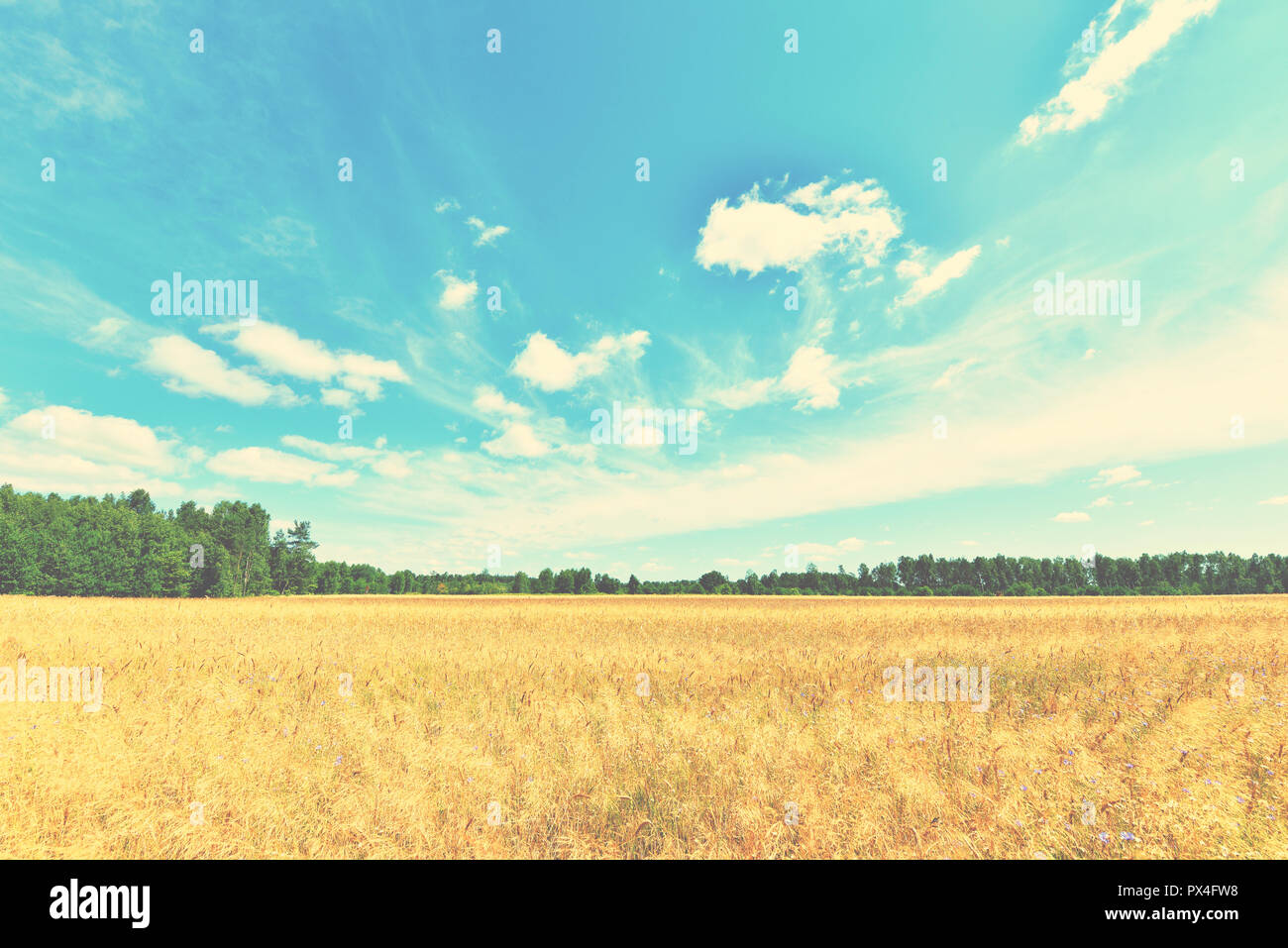 Vintage rural landscape Stock Photo - Alamy