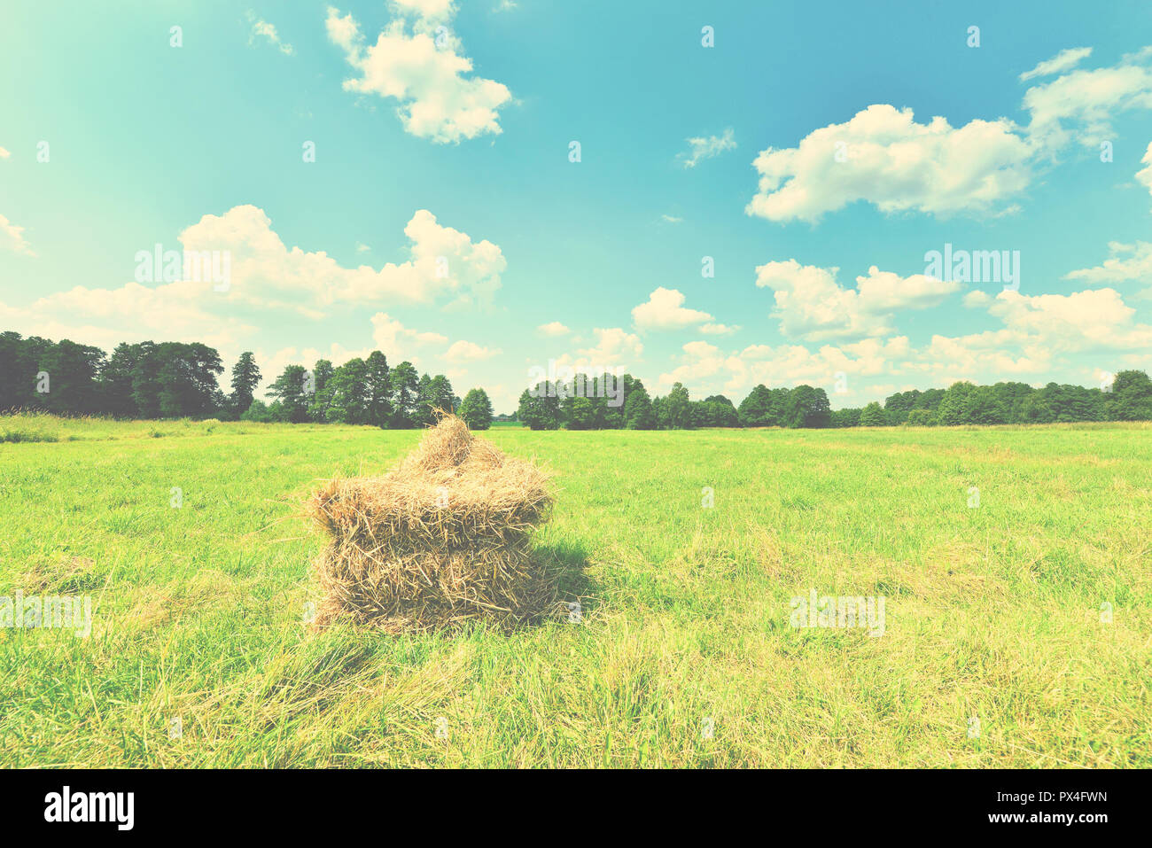 Vintage rural landscape Stock Photo - Alamy