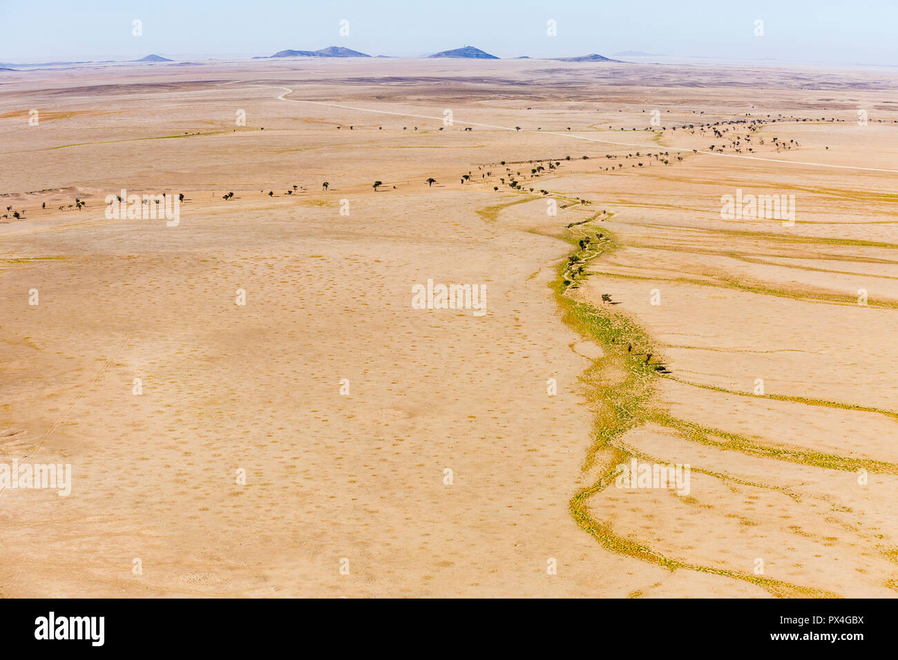 Aerial view, dry river after the first rain, Namib Desert, Namib ...