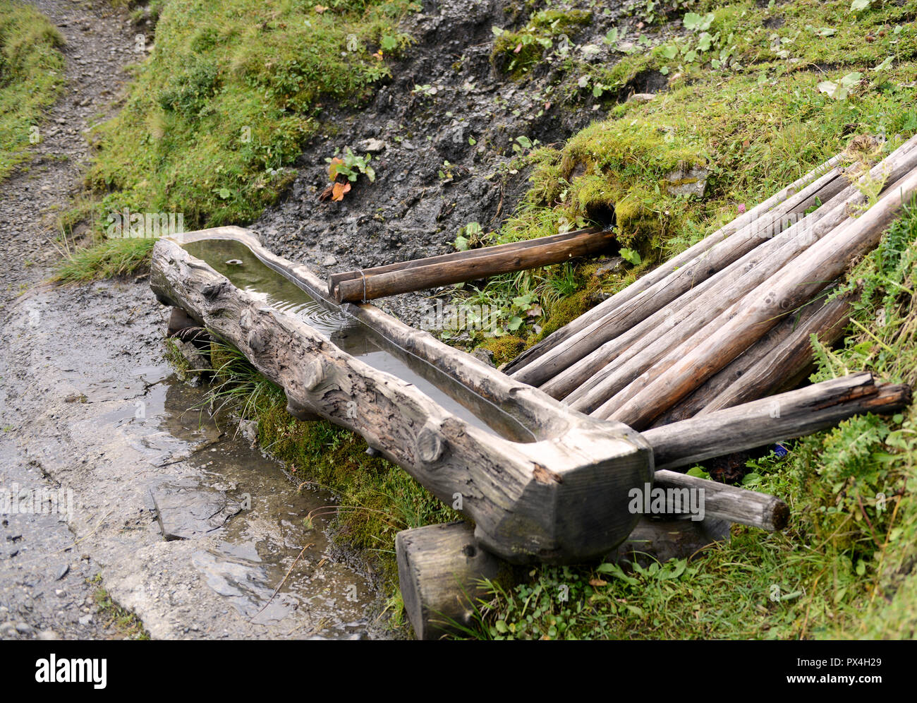 Water trough made out of tree trunk in the a;ps, Switzerland Stock ...