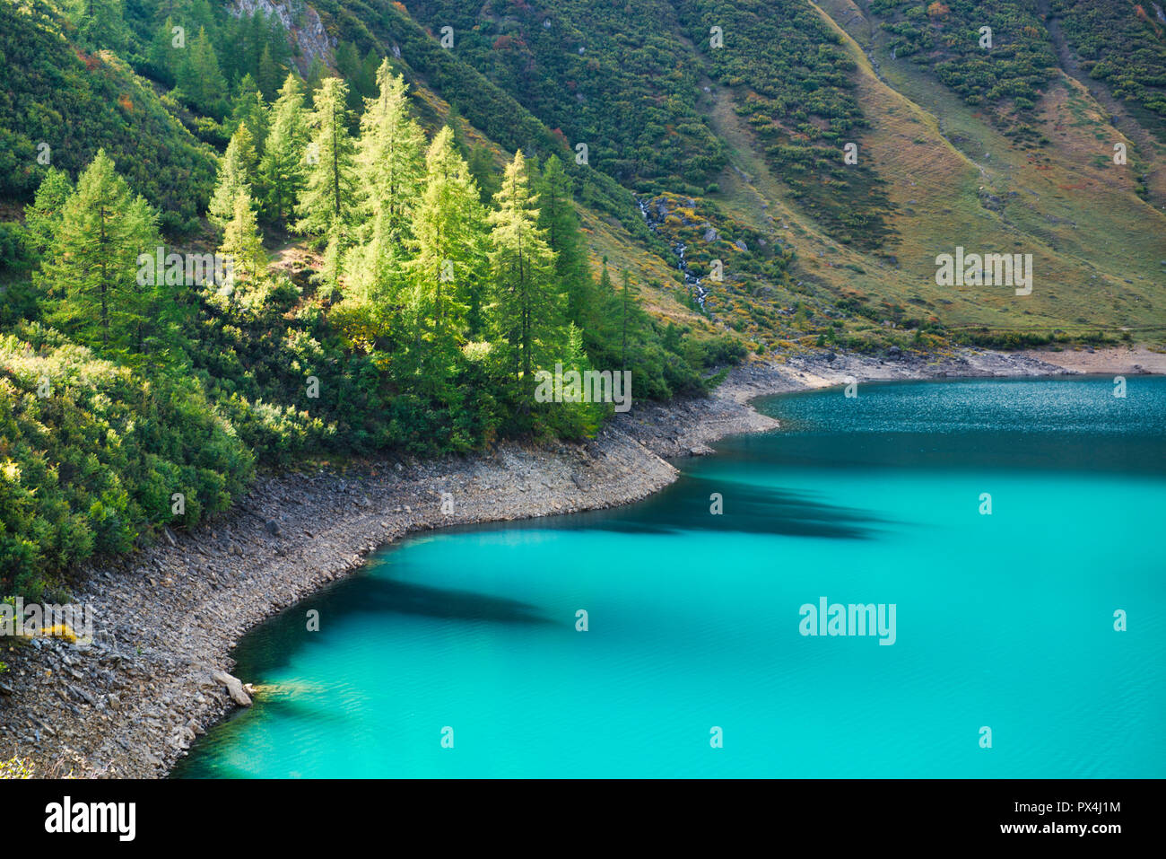 amazing colors of water on the lake with the shadow of the plants ...