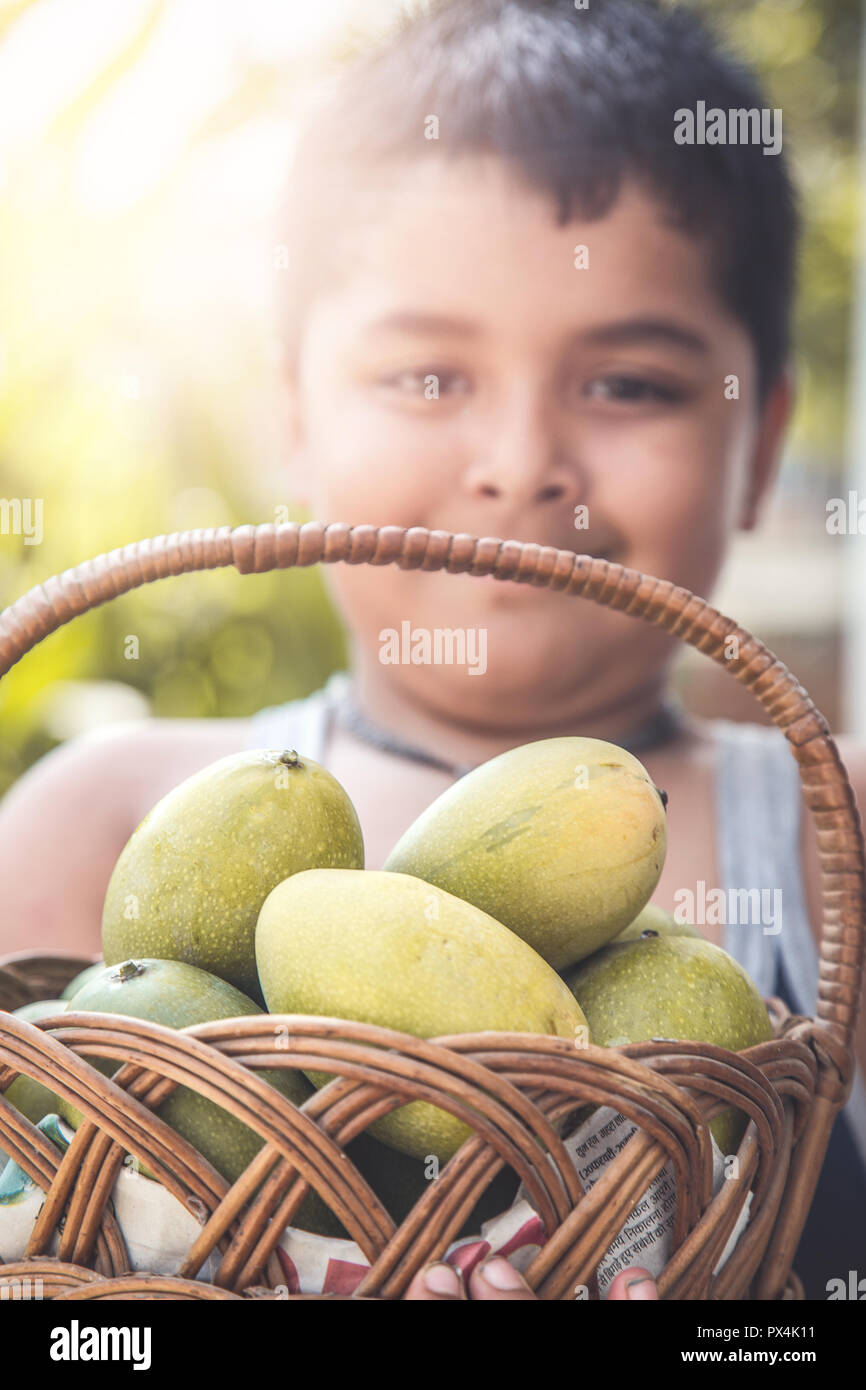 Boy holding basket of Mango fruit and looking at camera smiling Stock ...