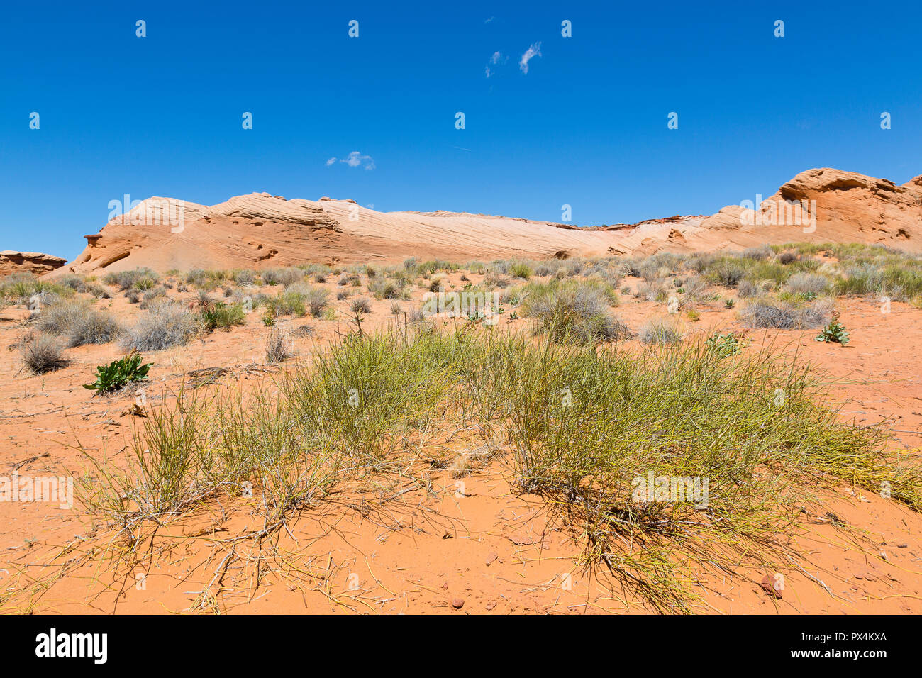 Az desert hi-res stock photography and images - Alamy