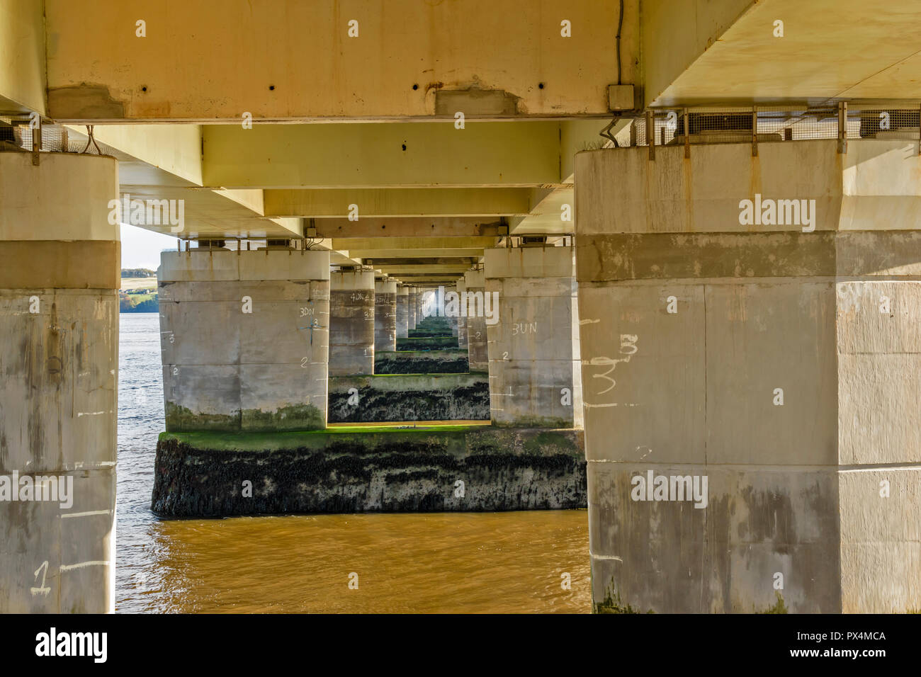 Bridge pilon hi-res stock photography and images - Alamy