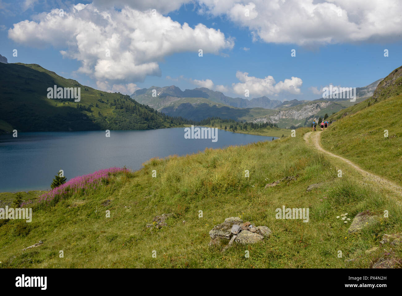 Lake Engstlensee over Engelberg on the Swiss alps Stock Photo - Alamy