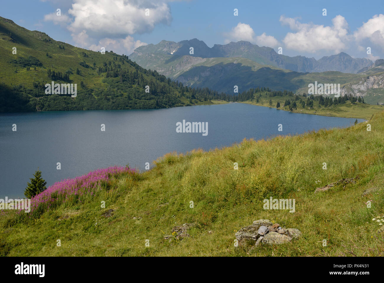 Engstlensee bern hi-res stock photography and images - Alamy