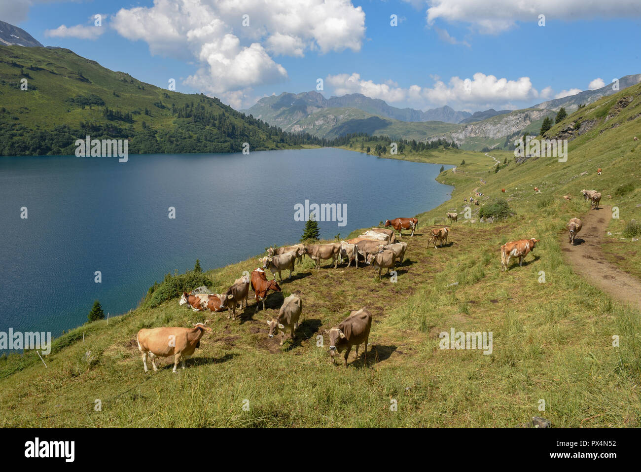 Lake Engstlensee over Engelberg on the Swiss alps Stock Photo - Alamy
