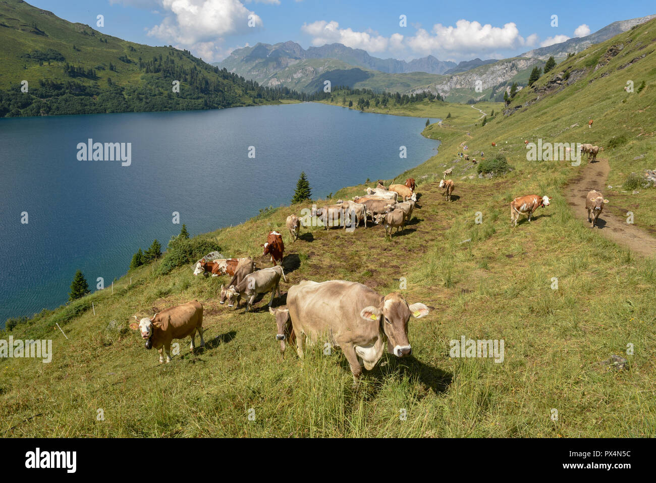 Lake Engstlensee over Engelberg on the Swiss alps Stock Photo - Alamy