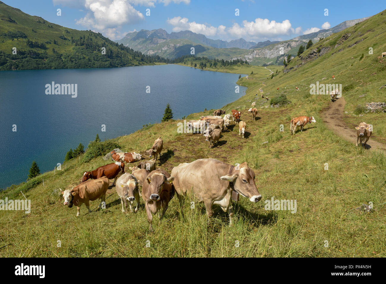 Lake Engstlensee over Engelberg on the Swiss alps Stock Photo - Alamy