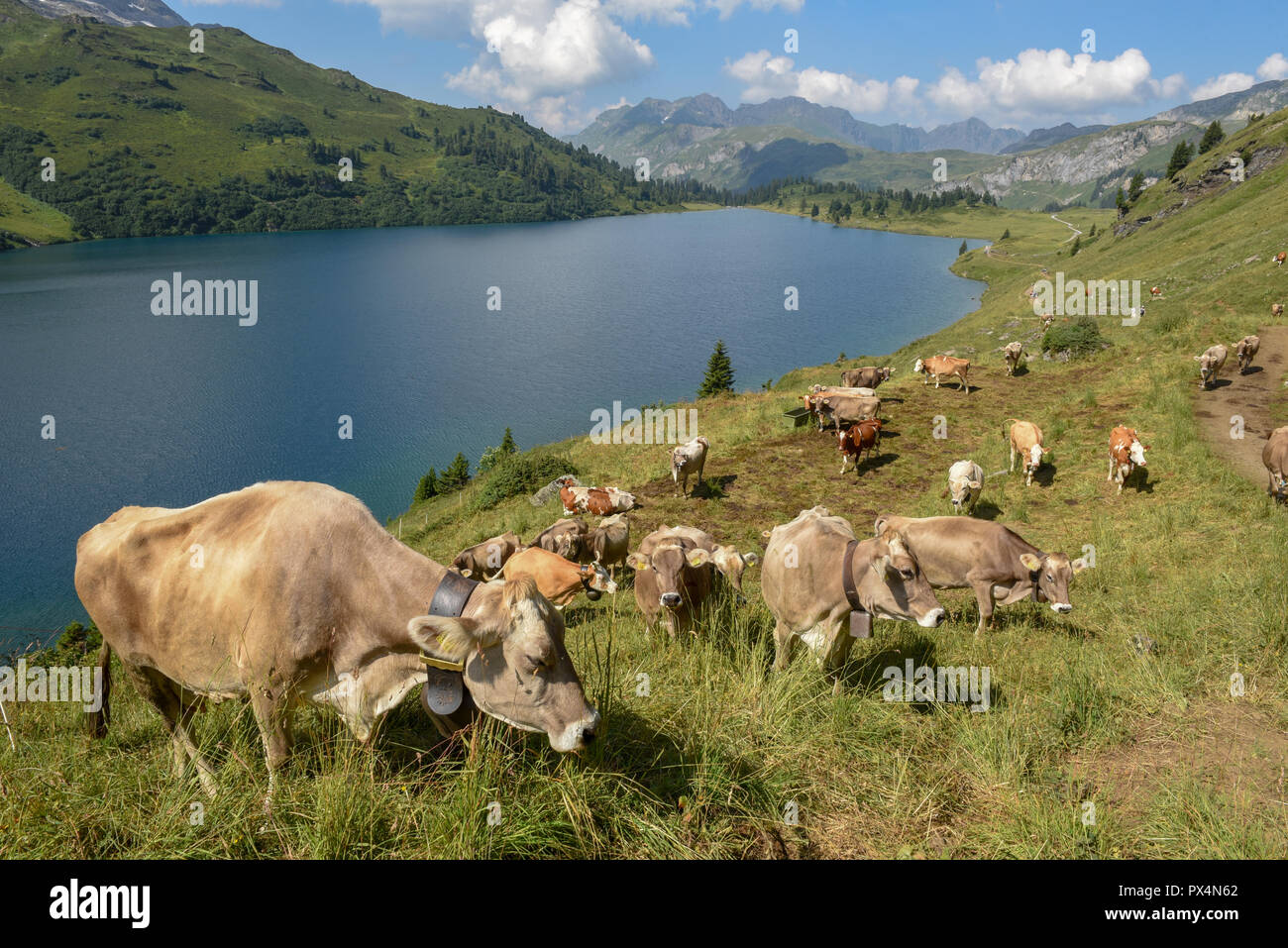 Lake Engstlensee over Engelberg on the Swiss alps Stock Photo - Alamy