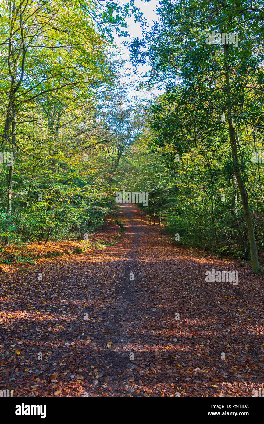 Loughton essex hi-res stock photography and images - Alamy