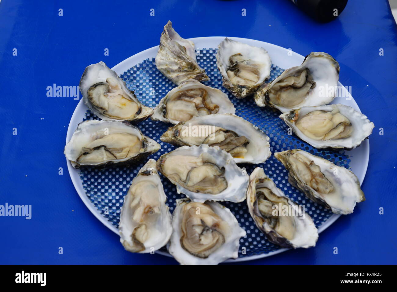 Namibian oysters hi-res stock photography and images - Alamy