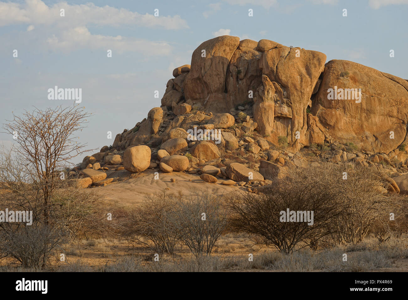 Bull's Party and Elephant's Head, Ameib Farm, Erongo Gebirge, Namibia ...