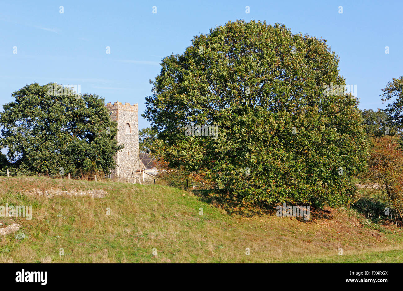 An English country landscape of a church tower between oak trees at ...