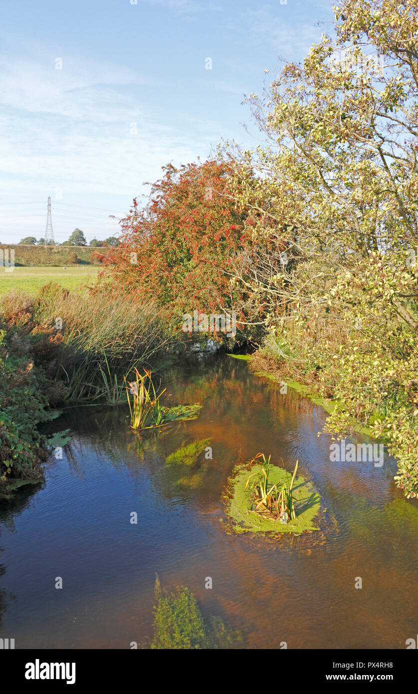 A quiet corner of the River Tas in the South Norfolk countryside at ...
