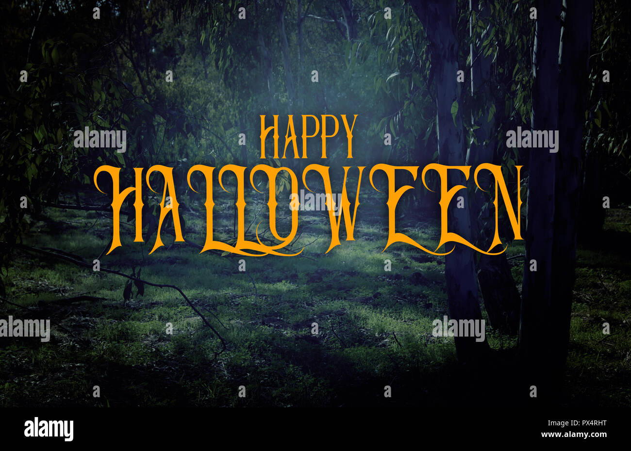 Halloween mysterious background of dark and haunted forest with text ...