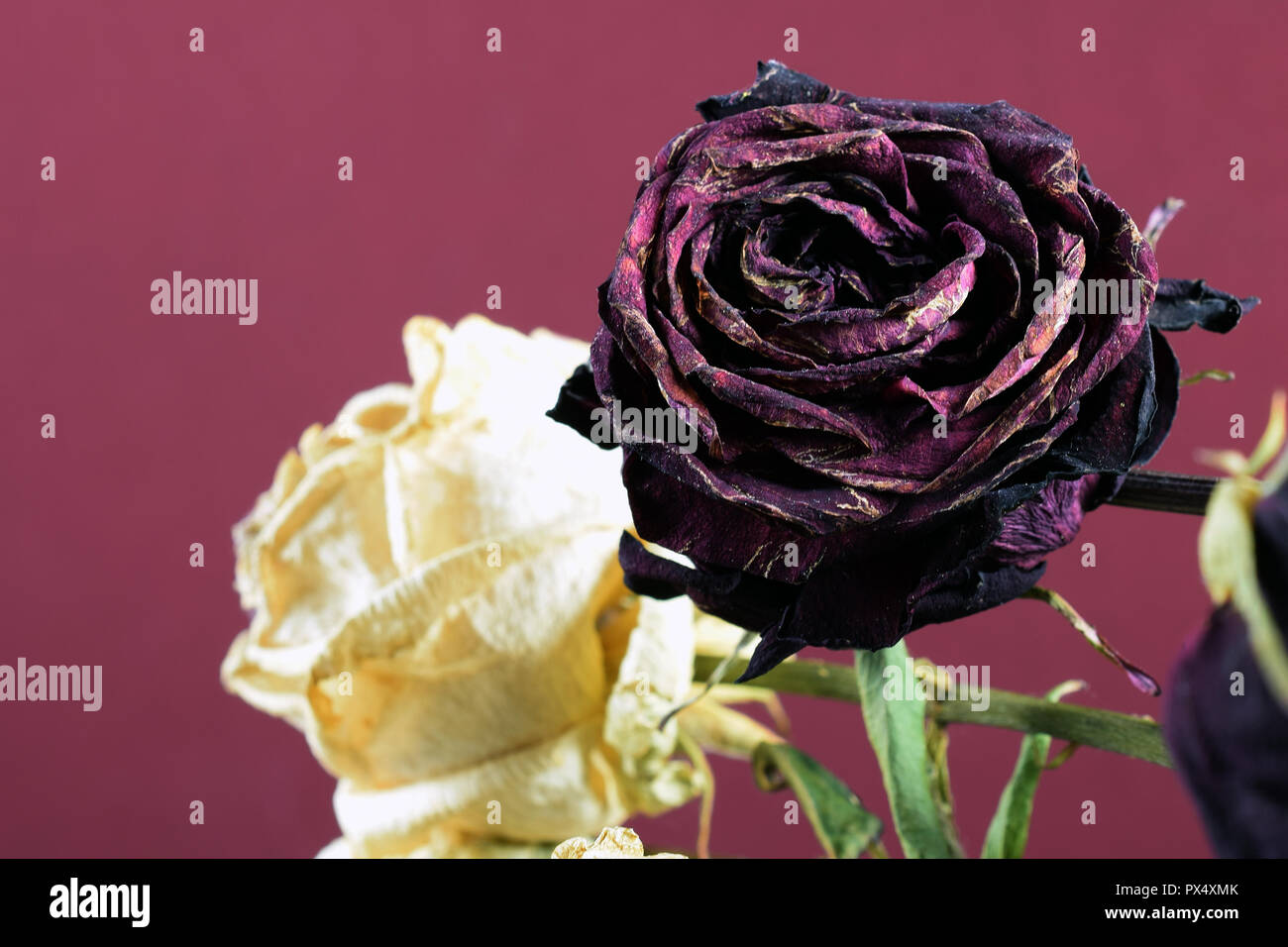 Faded color hi-res stock photography and images - Alamy