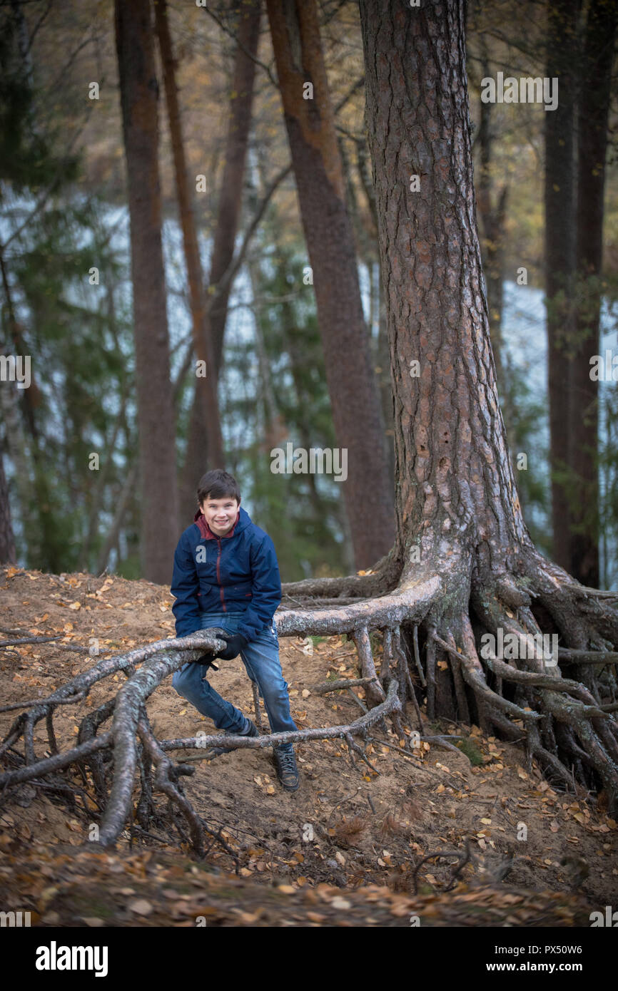Young boy posing in autumn forest sitting on the mighty roots of an ...