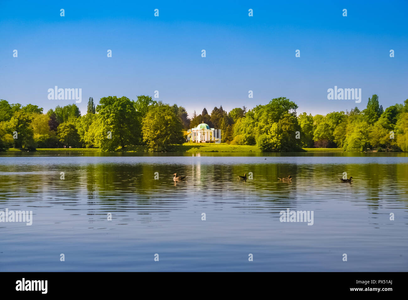 Swan Lake Island Park Stock Photos & Swan Lake Island Park Stock Images ...