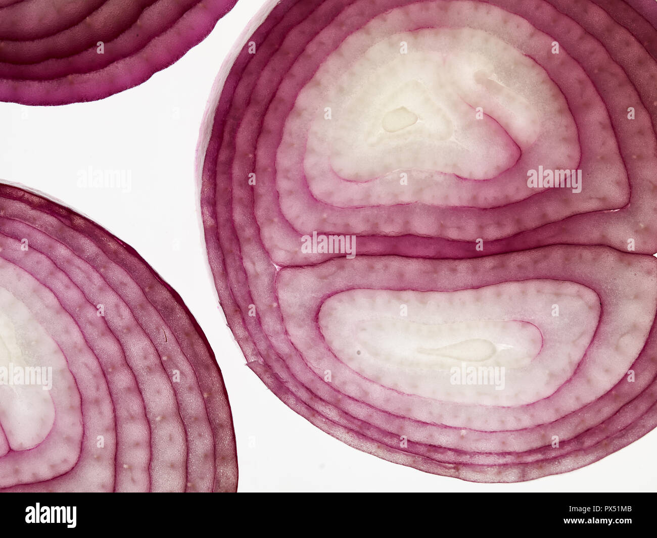 Red onion close-up abstract food photograph Stock Photo - Alamy