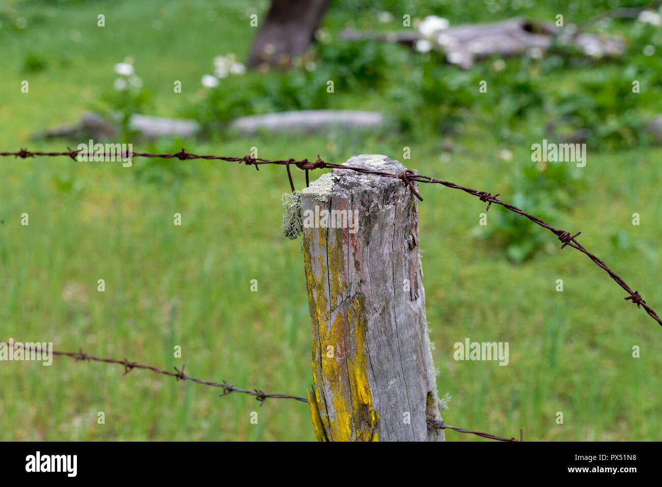 Barbed Wire Fence Stock Photo - Alamy