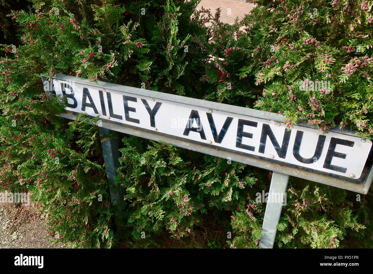 Bailey Avenue road sign in Kesgrave, Suffolk, UK Stock Photo - Alamy