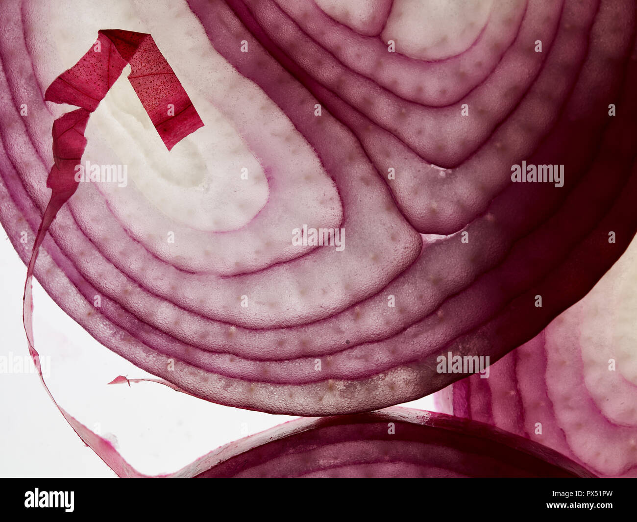 Red onion close-up abstract food photograph Stock Photo - Alamy