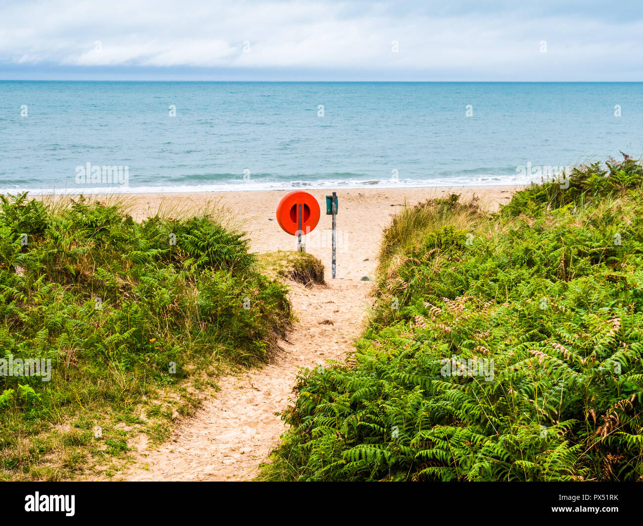 Sand and ferns hi-res stock photography and images - Alamy