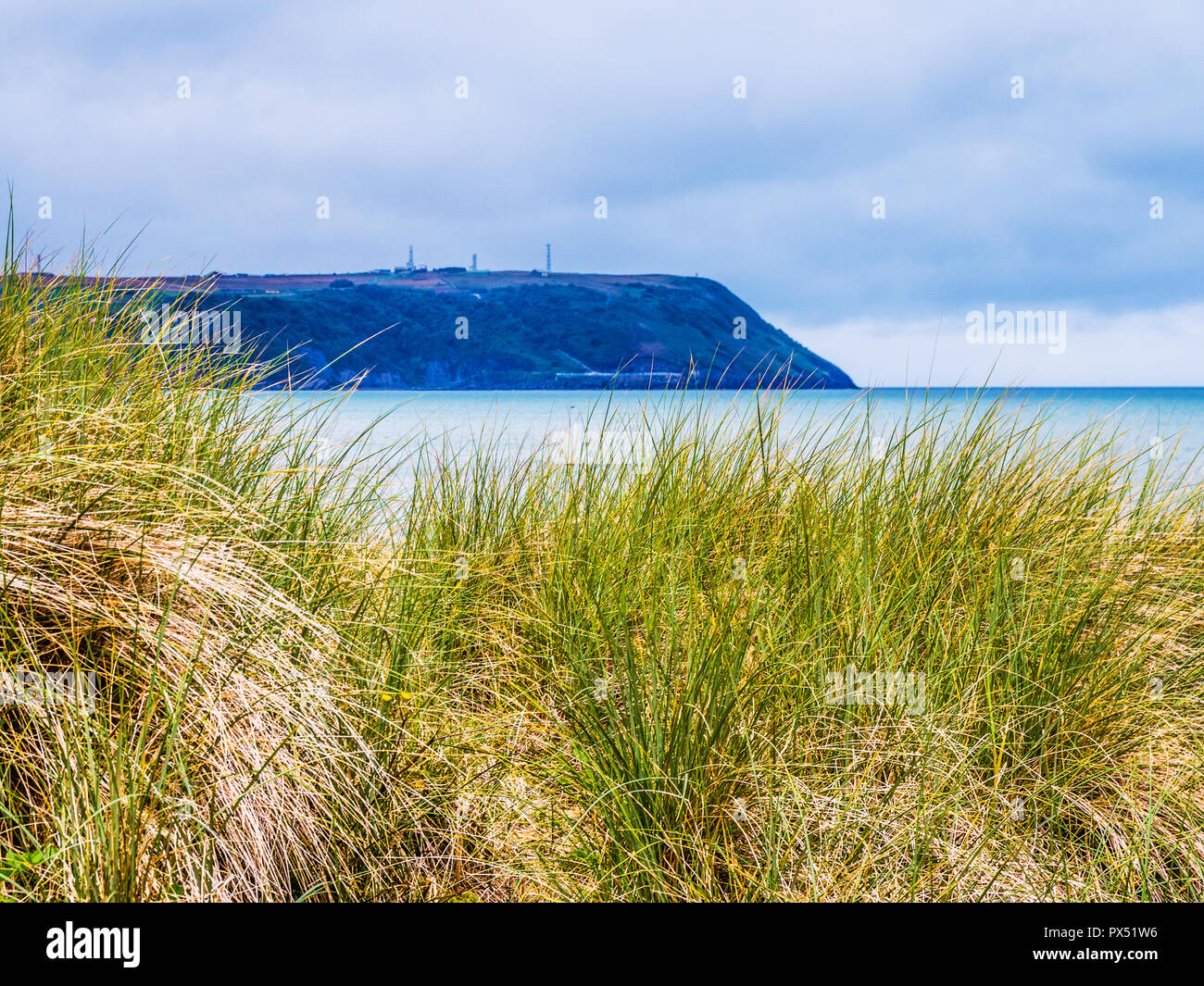 Grasses on coast hi-res stock photography and images - Alamy