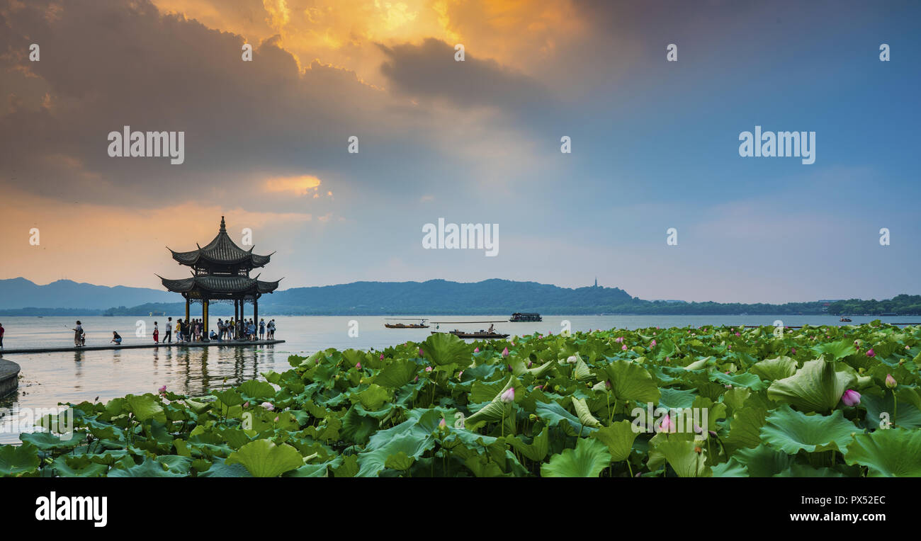 Mid lake pavilion lotus hi-res stock photography and images - Alamy
