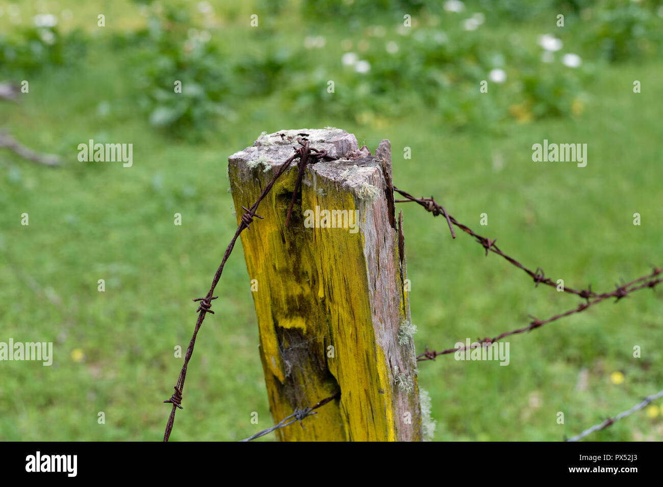 Old Barbed Wire Fence Stock Photo - Alamy