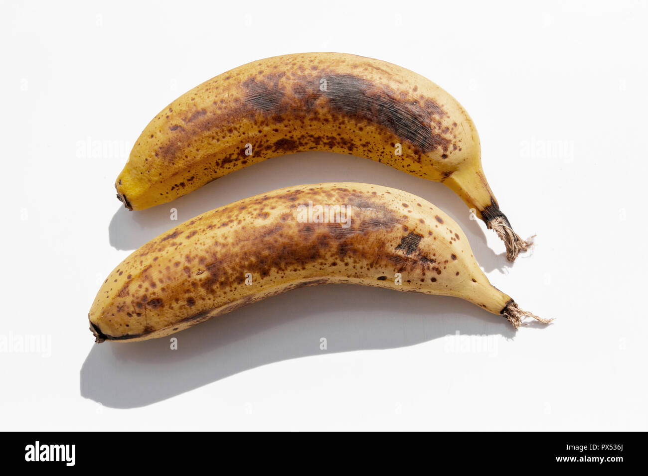 A close up view of two ripe yellow bananas next to each other on a ...