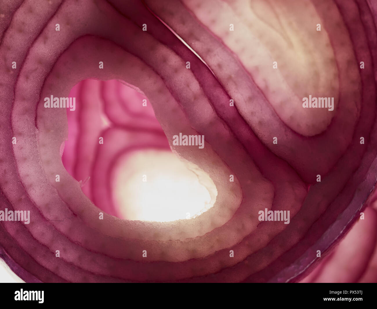 Red onion close-up abstract food photograph Stock Photo - Alamy