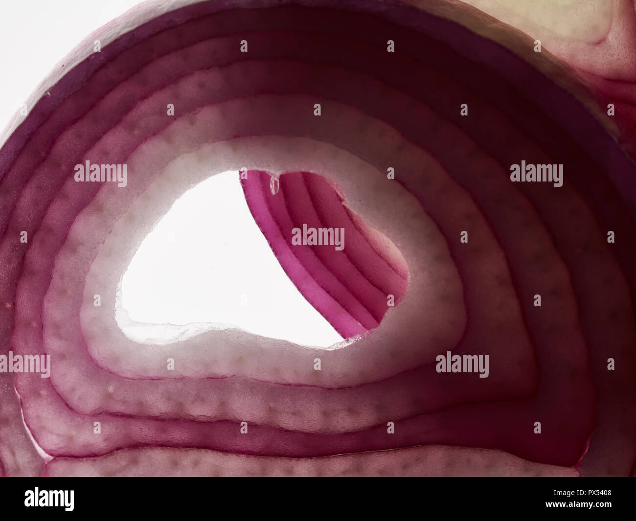 Red onion abstract food photograph Stock Photo - Alamy