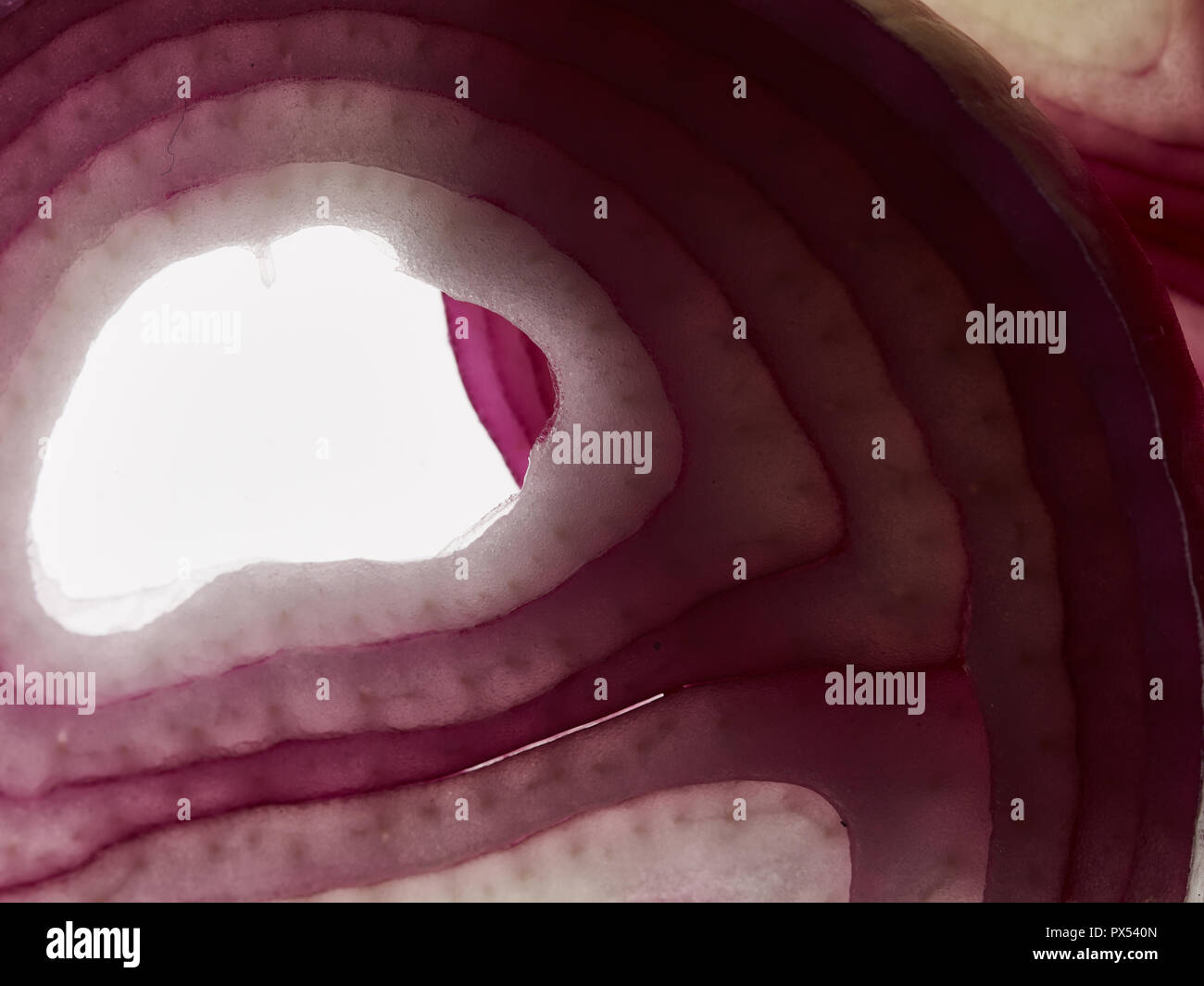 Red onion abstract food photograph Stock Photo - Alamy