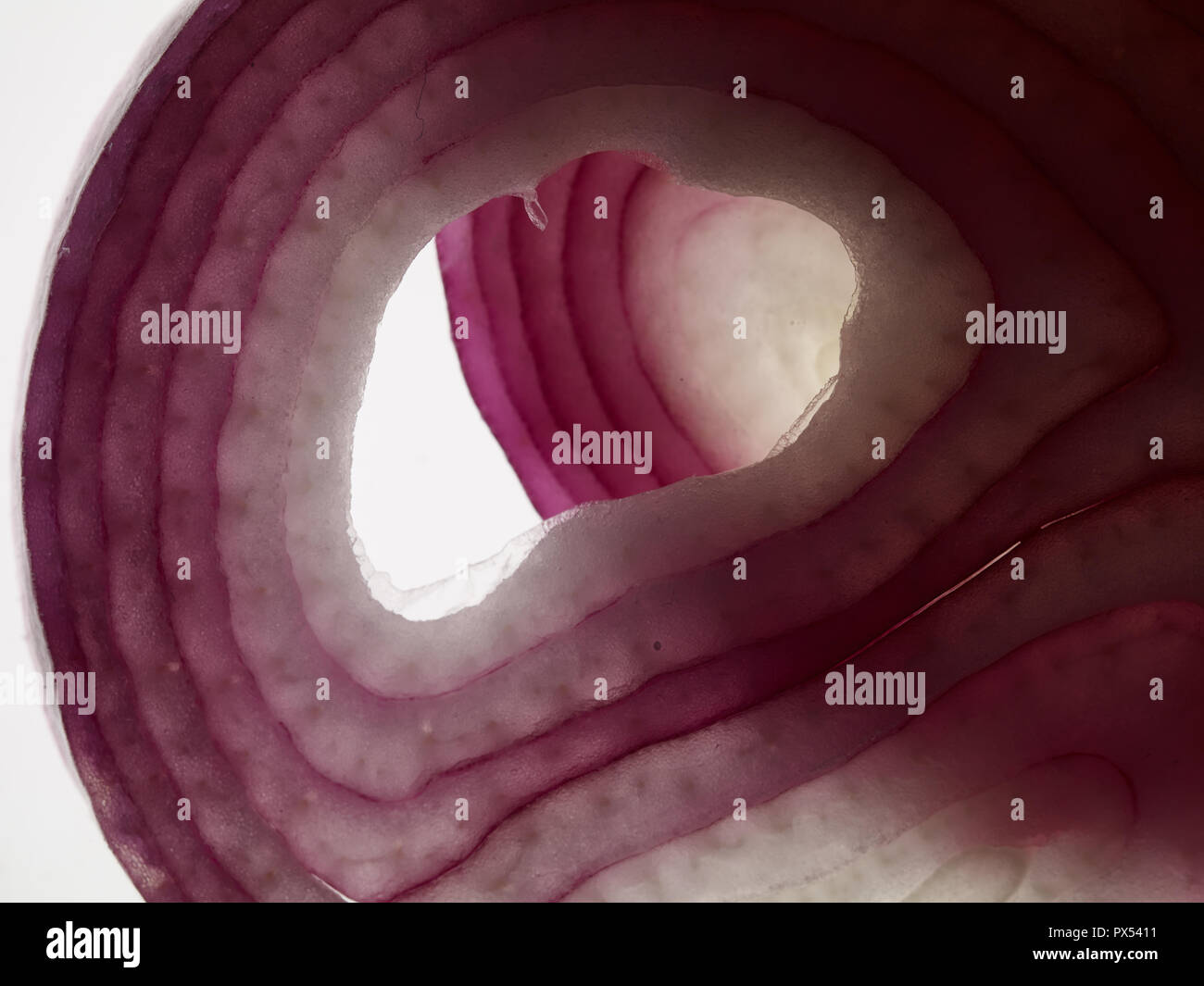 Red onion abstract food photograph Stock Photo - Alamy