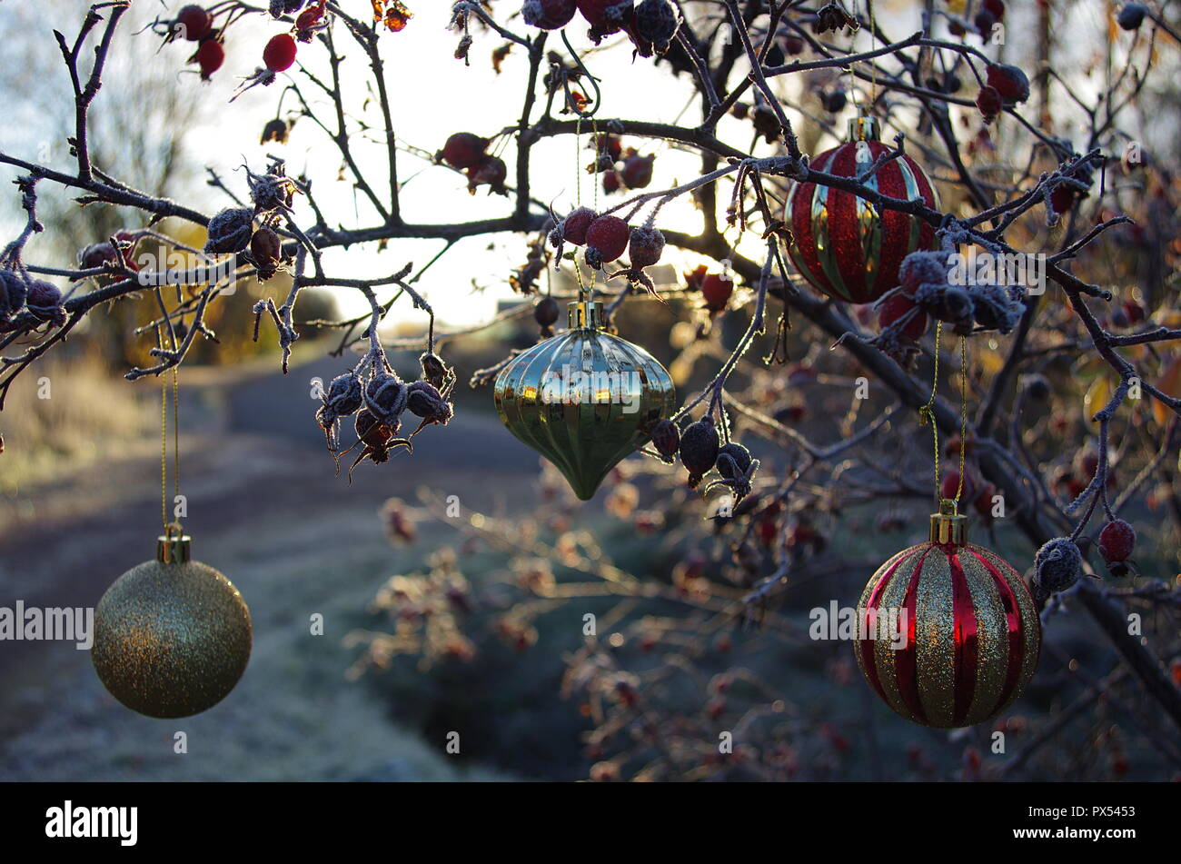 Christmas scenery hi-res stock photography and images - Alamy