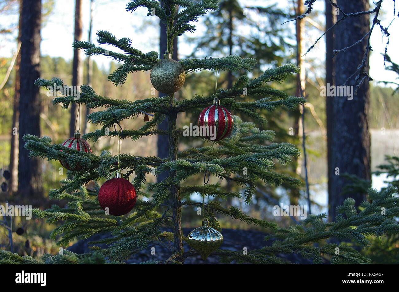 Christmas scenery hi-res stock photography and images - Alamy