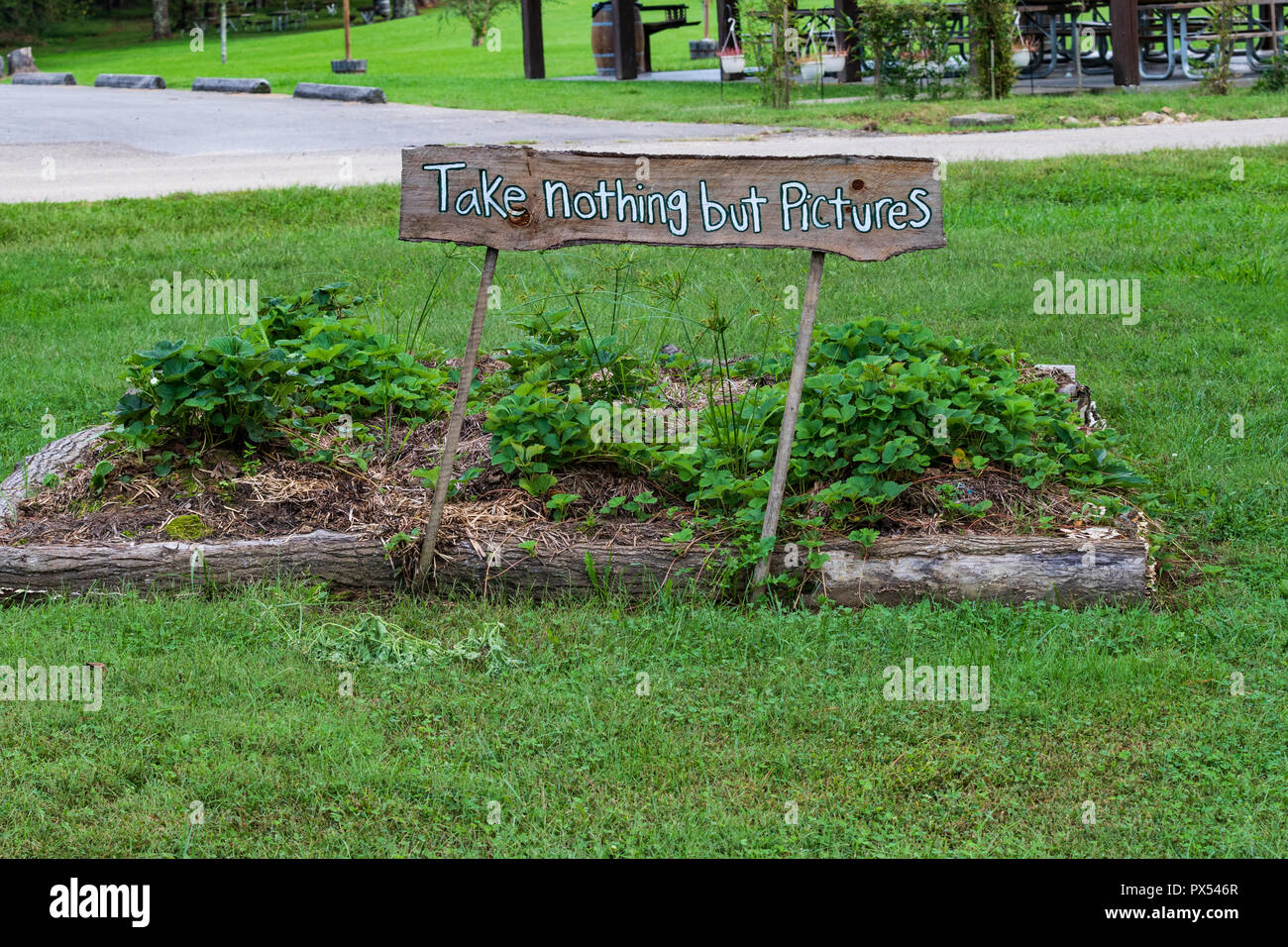 Tennessee state park hi-res stock photography and images - Alamy
