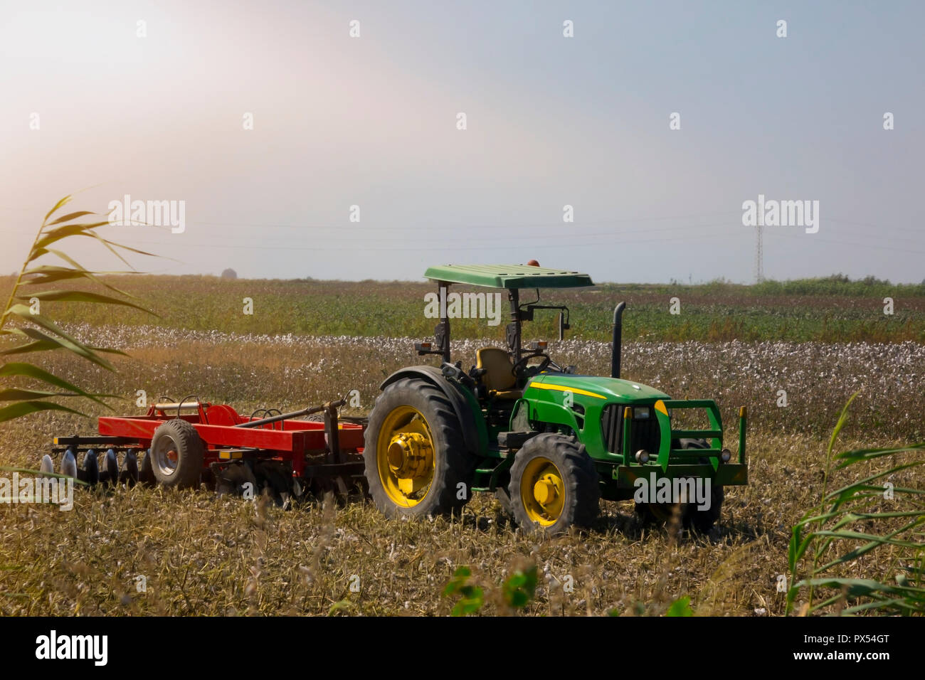 cotton field after harvest with a tractor Stock Photo - Alamy