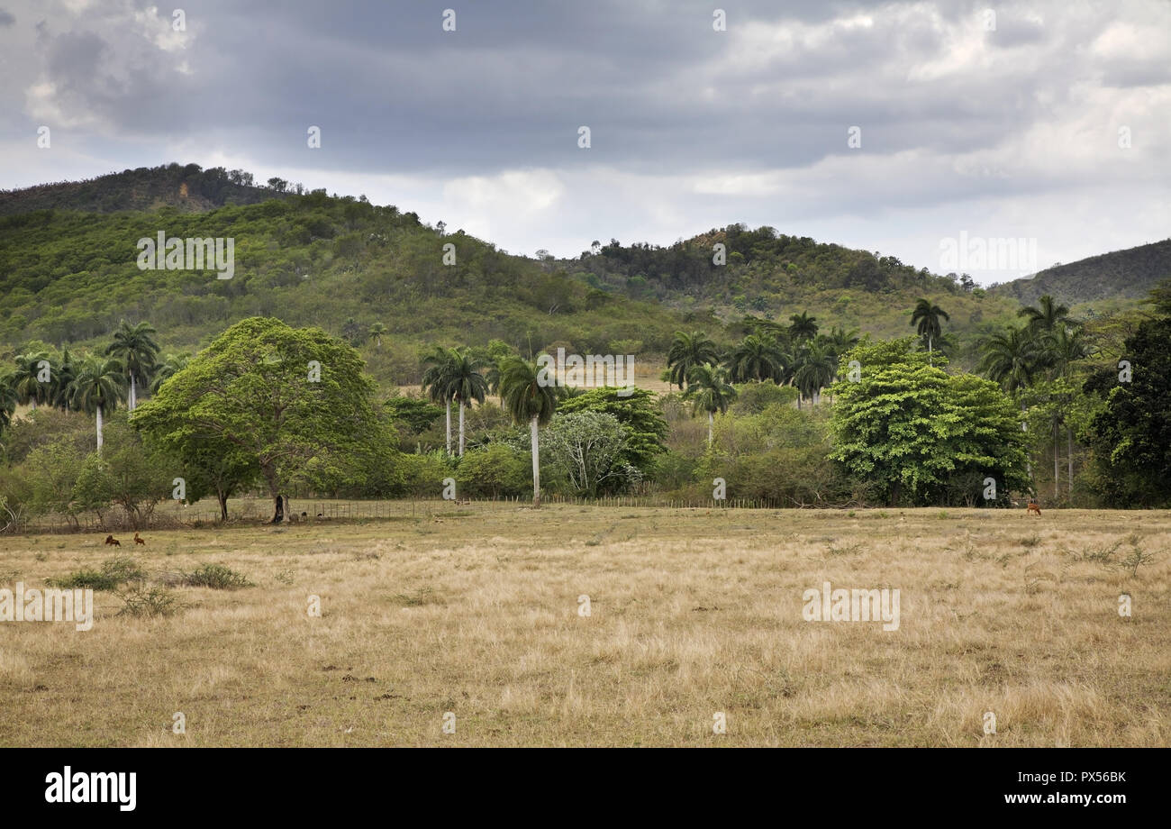Landscape near Trinidad. Cuba Stock Photo - Alamy