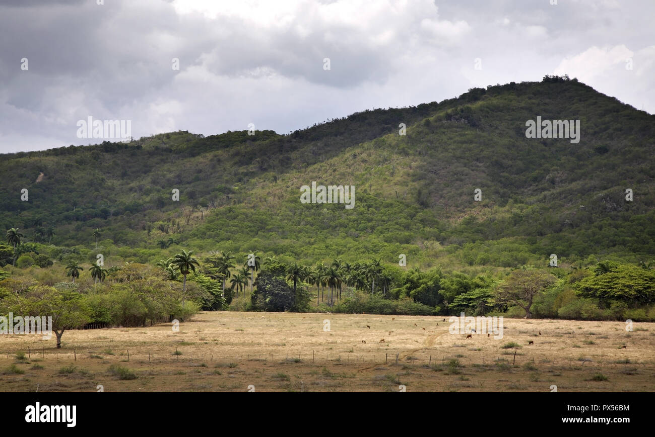 Landscape near Trinidad. Cuba Stock Photo - Alamy