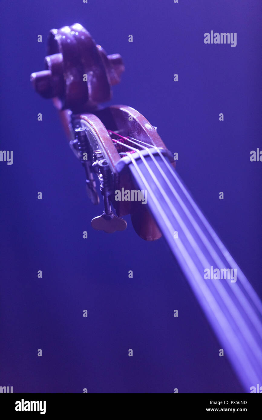 A head of an acoustic double bass in stage lights Stock Photo - Alamy