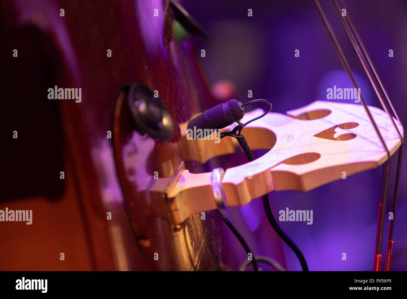 A close up of an acoustic double bass with a pick-up microphone Stock ...