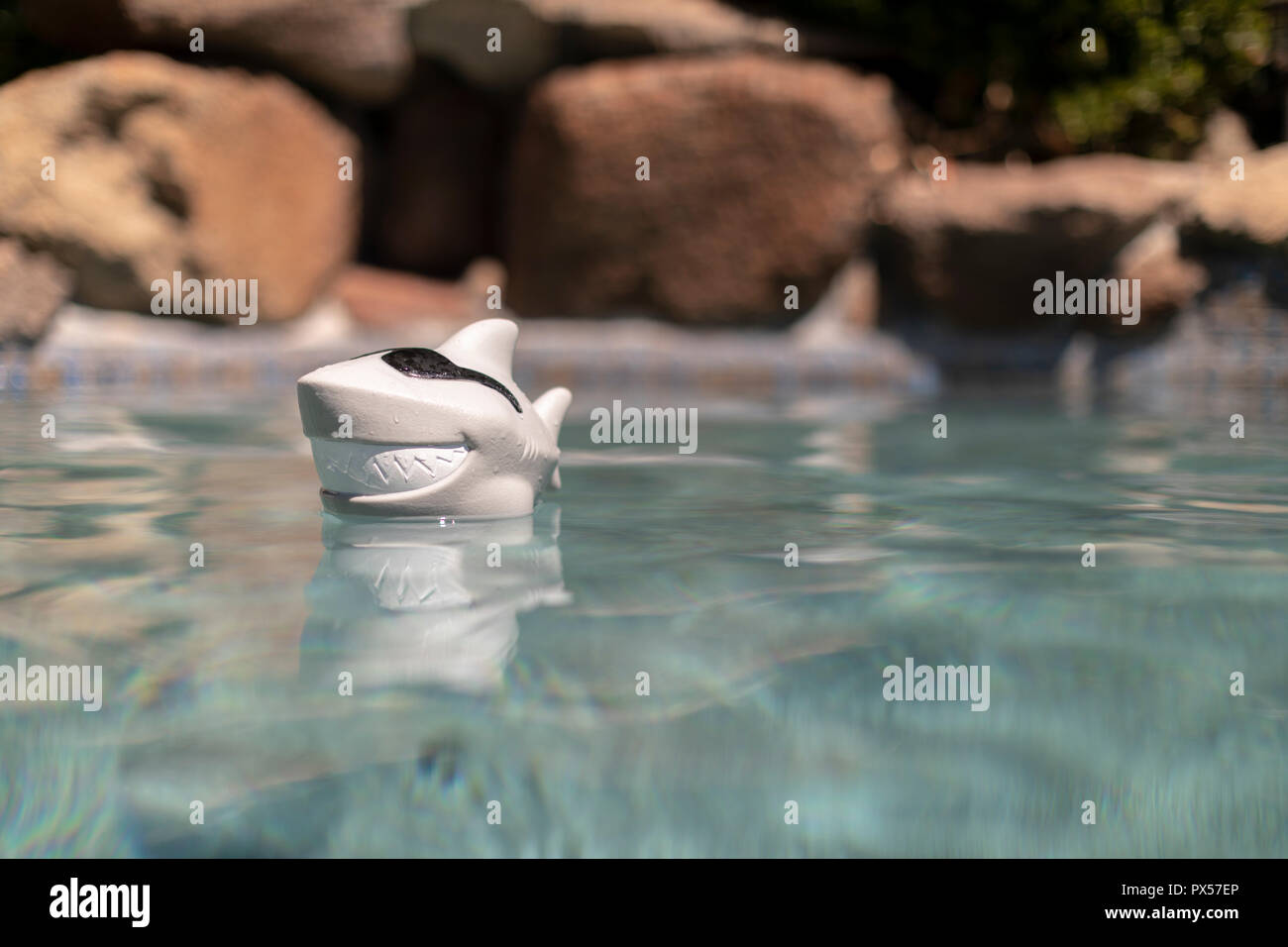 A toy shark in a swimming pool Stock Photo - Alamy