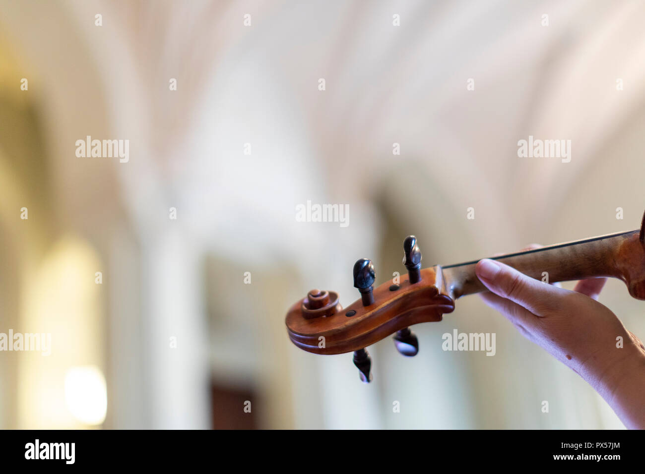 A person holding a viola or a violin by the neck Stock Photo - Alamy